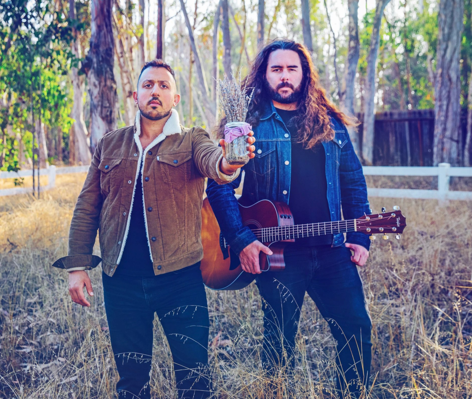 Lavender Fields Band - Coda Profile