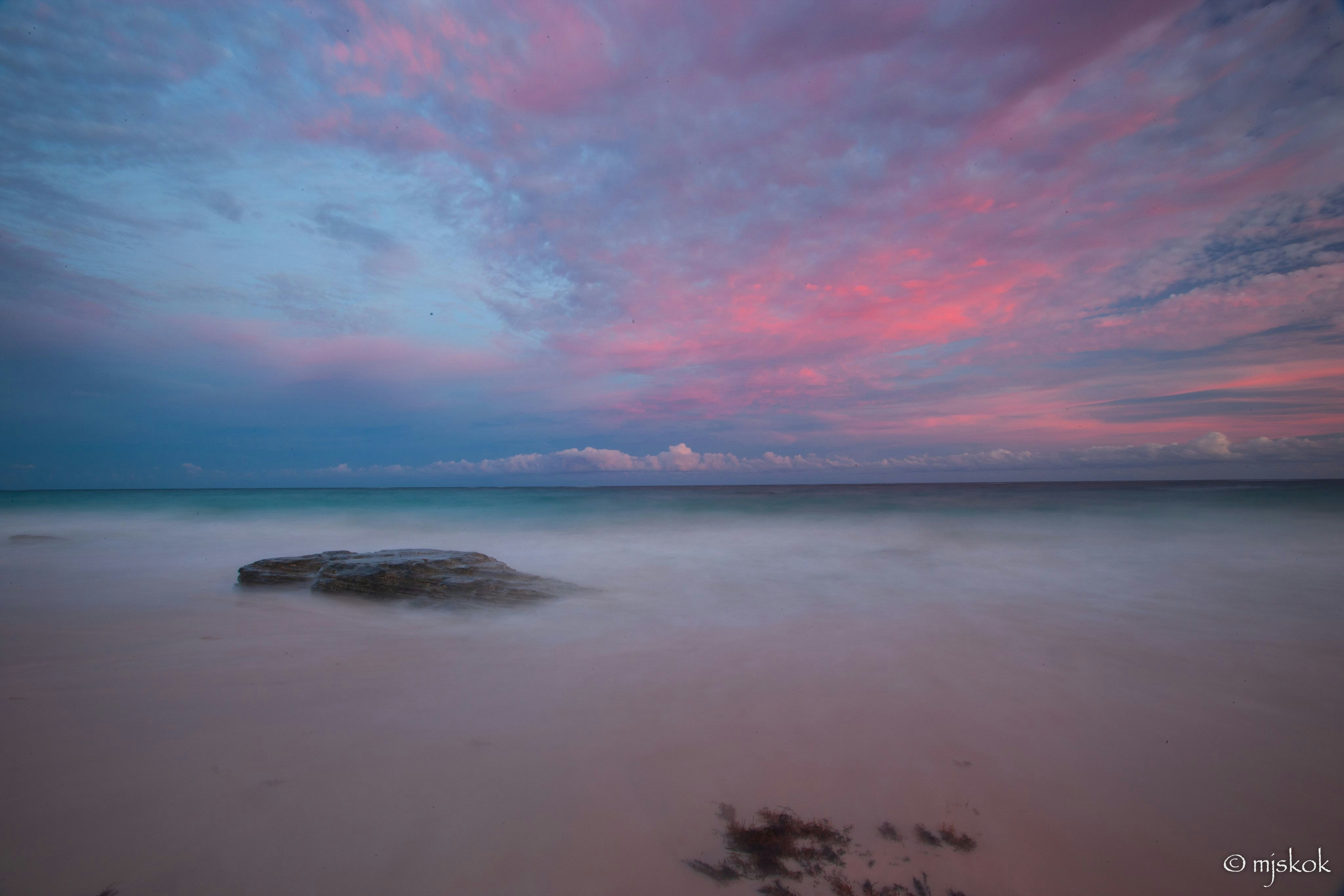 Michael Skok - Coda Profile