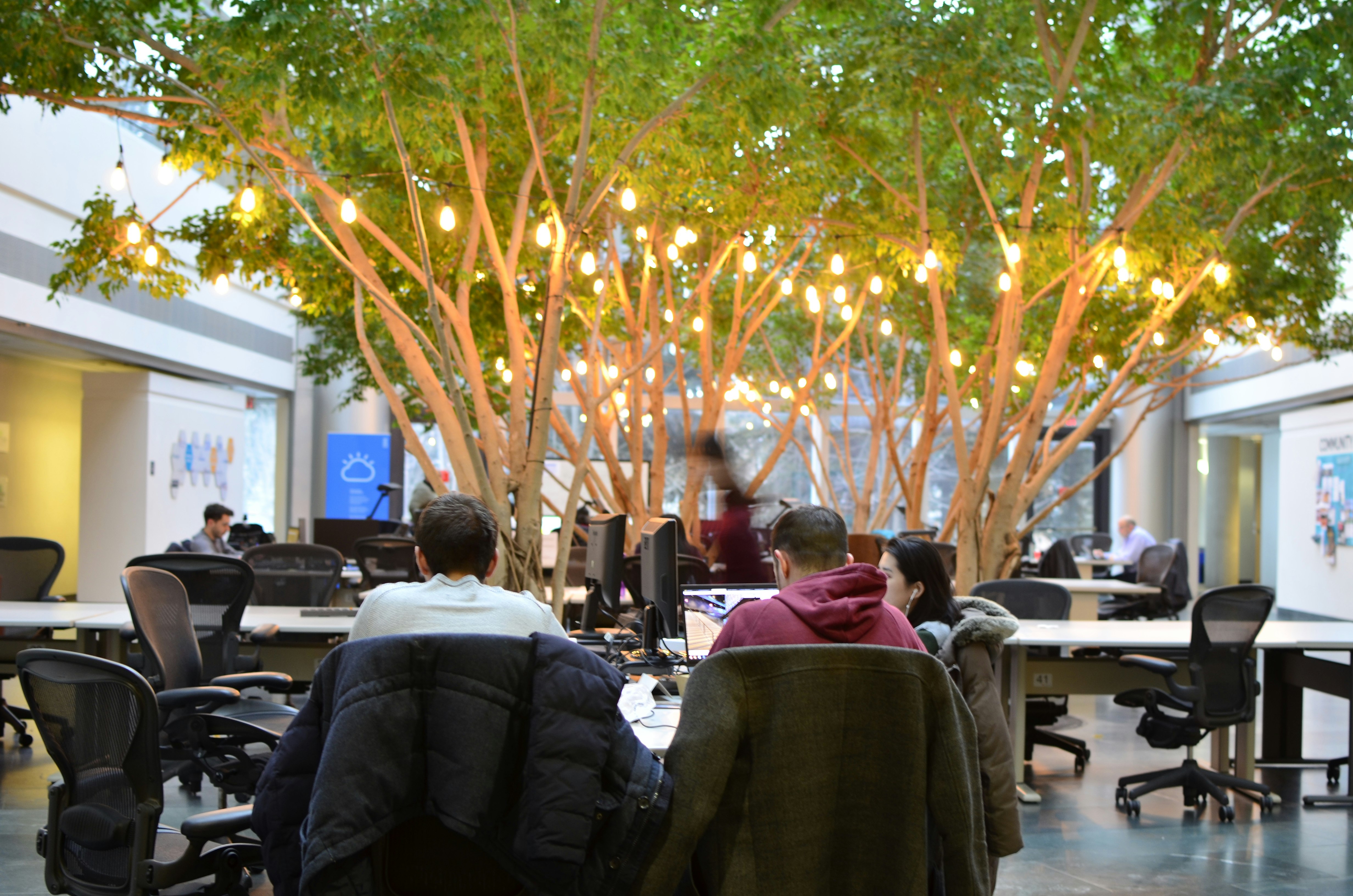 Membership Options in ventureLAB