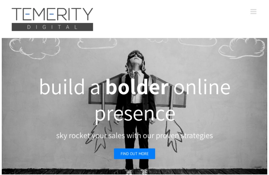 What Temerity Digital Does? · Temerity Digital