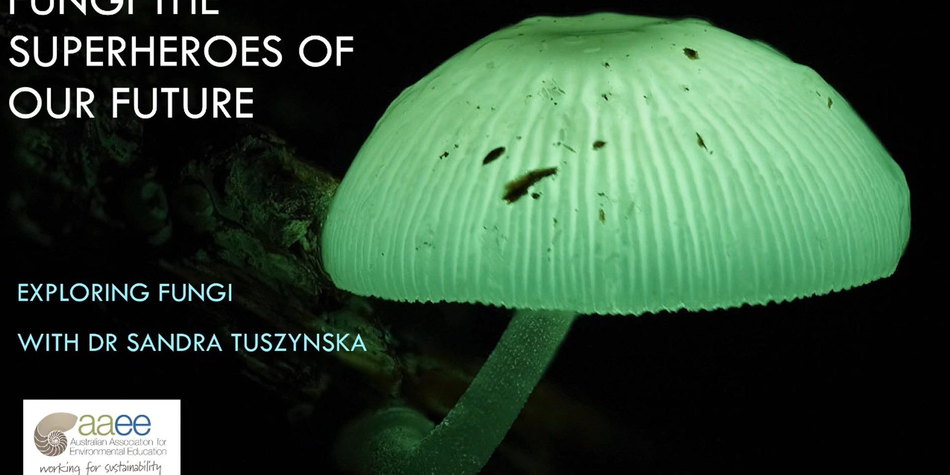 Fungi, the superheroes of our future presentation · Mycology Research ...
