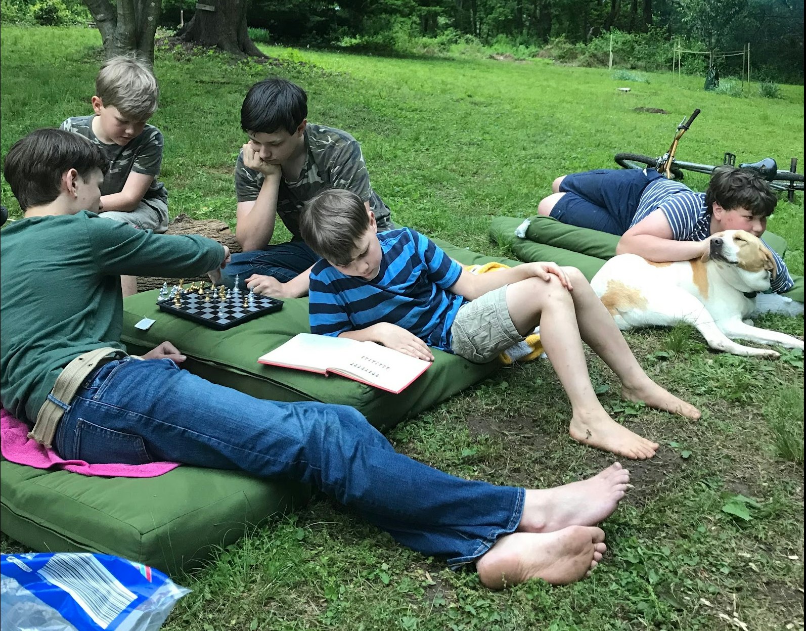 Endorsements · Vignette Home Learning Solutions