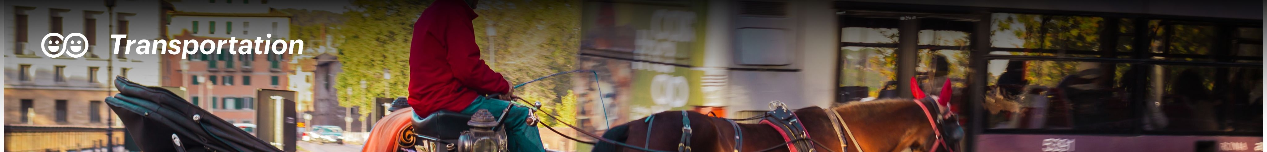 Transportation · Mevs Travel Planner