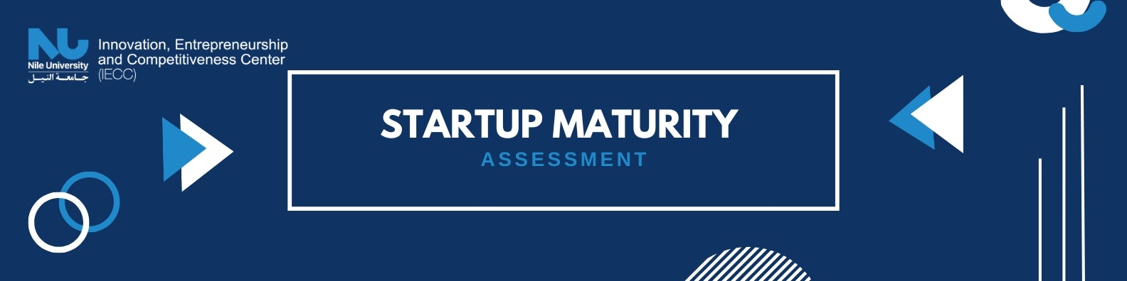 Startup Maturity Assessment
