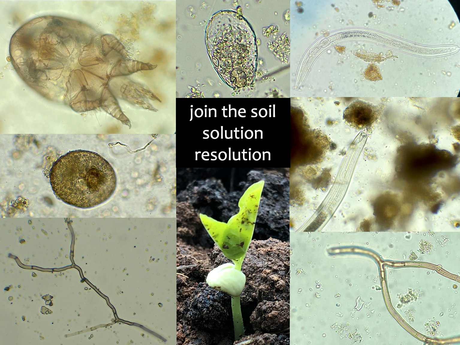 Soil Restoration Course · Giving Soil