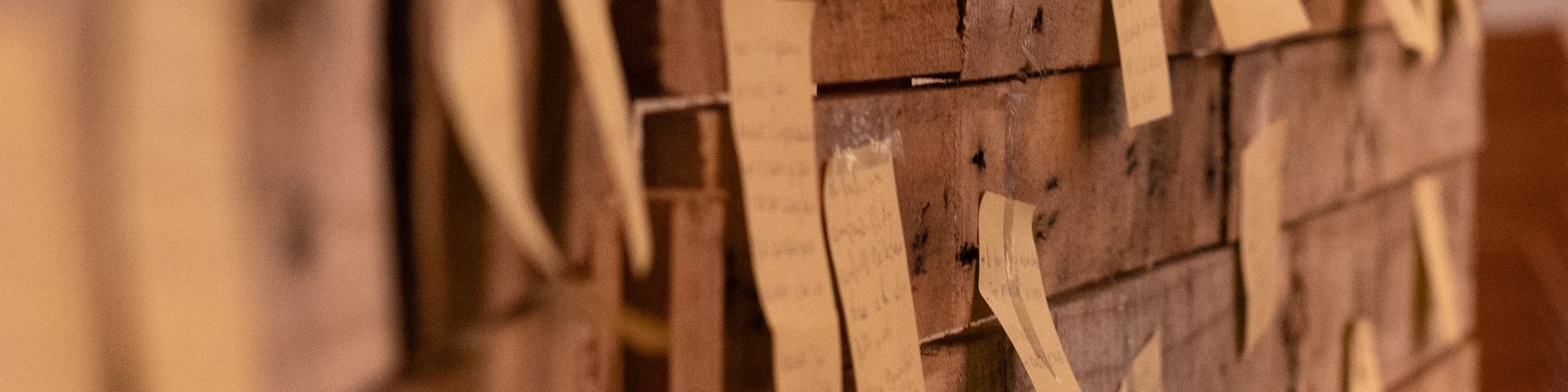 Julia Yasmin - Coda Profile