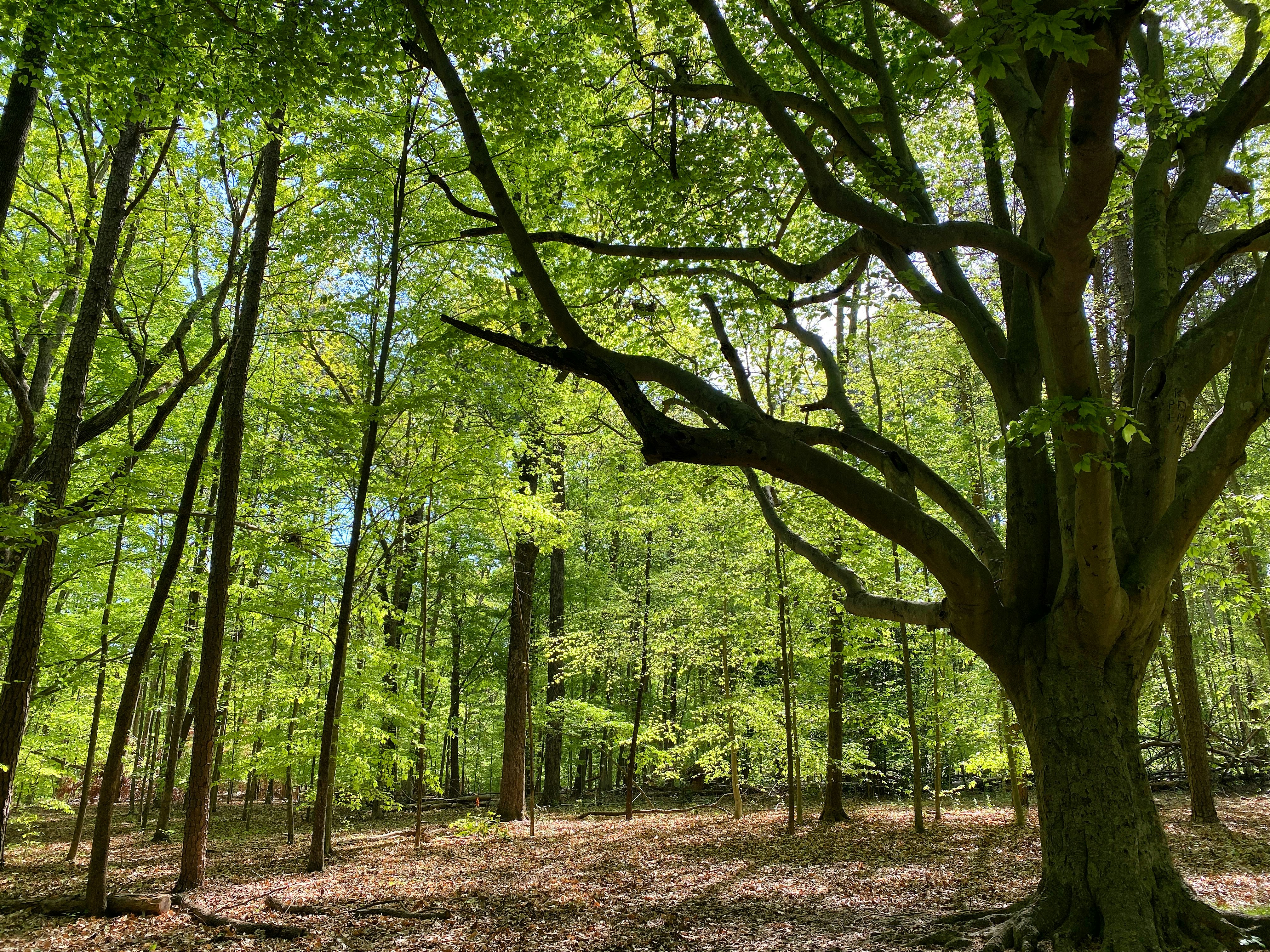 UGRR Tour Guide Handbook