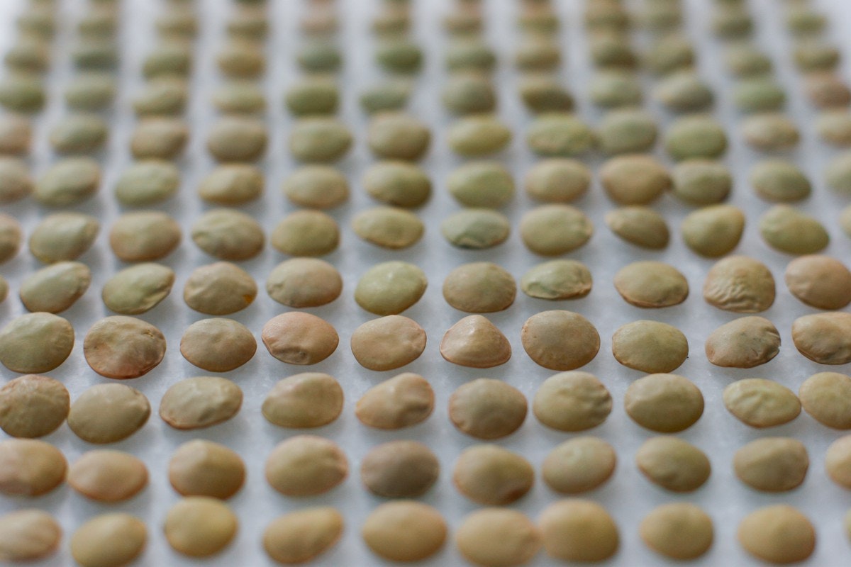 How to Sort Lentils · READINGS for Process Analysis