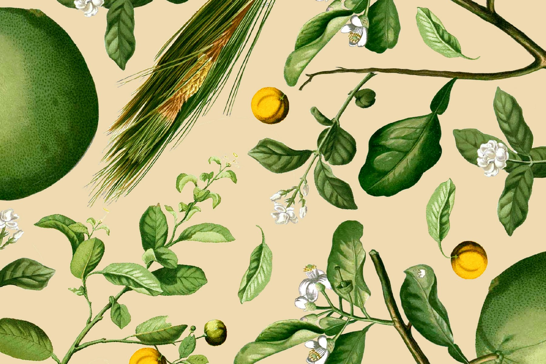 Key Visual Element · ARC Expanded - Standards Manual