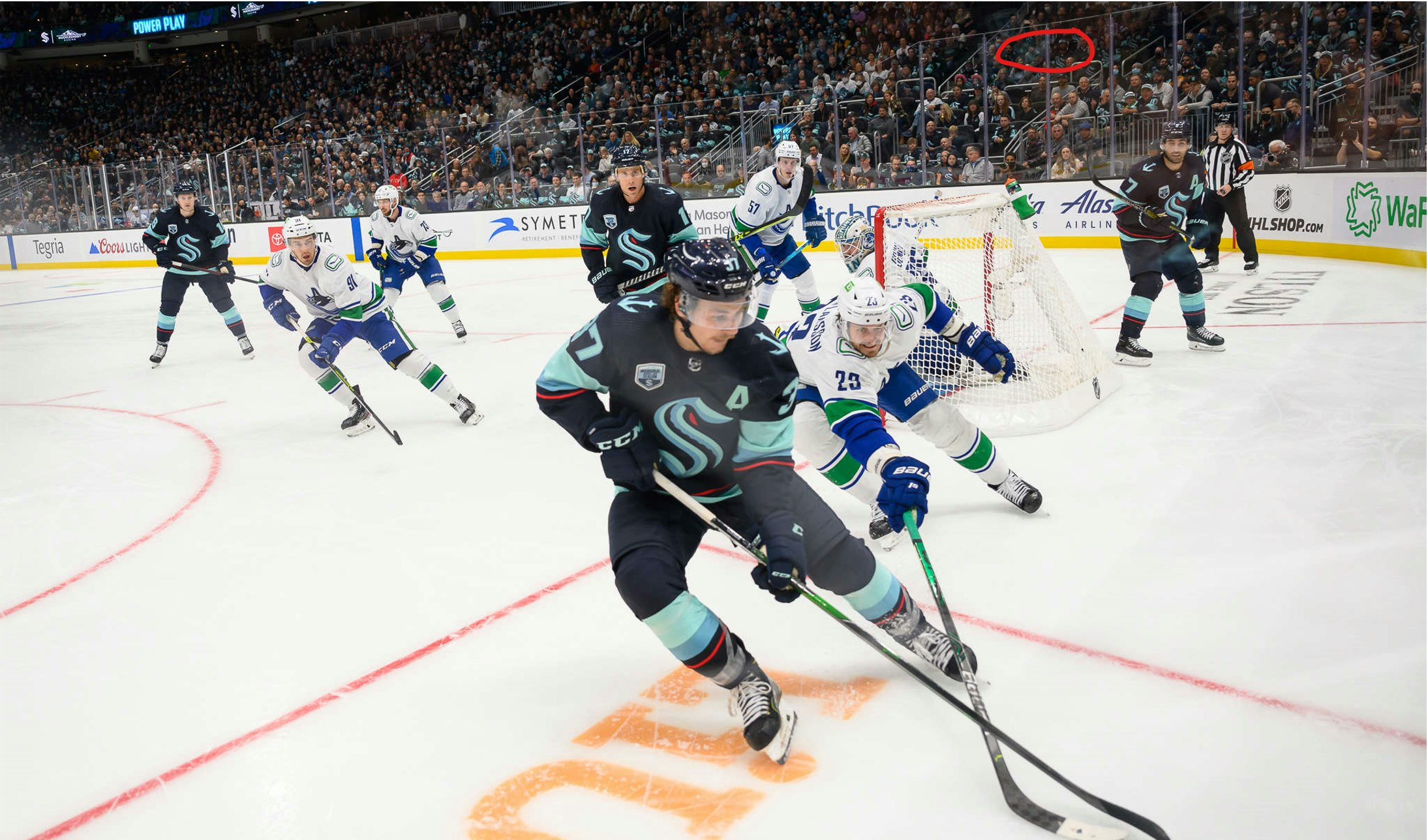 Colin Moll - Coda Profile