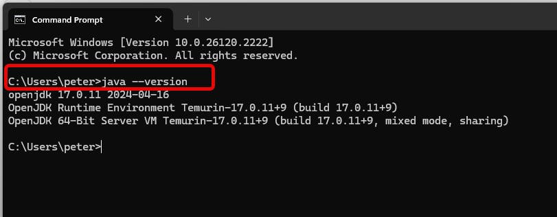 Here's a detailed step-by-step workflow for installing and Running ...