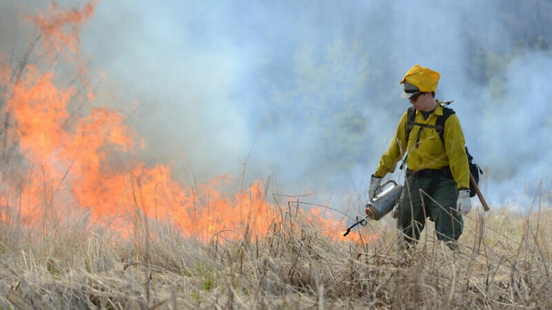 Arctic Fires · Natural Disasters
