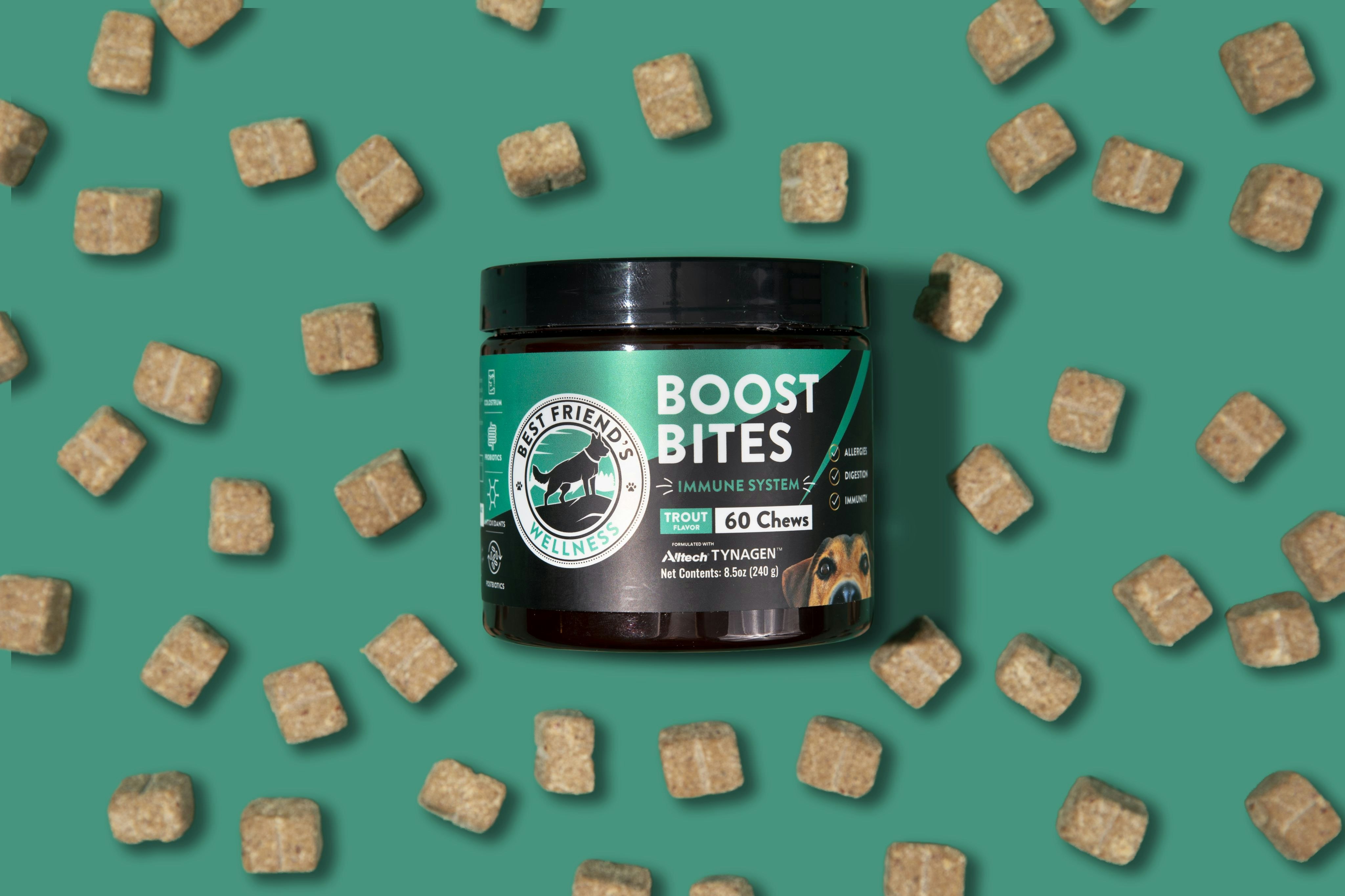 Boost Bites · Marketing Director