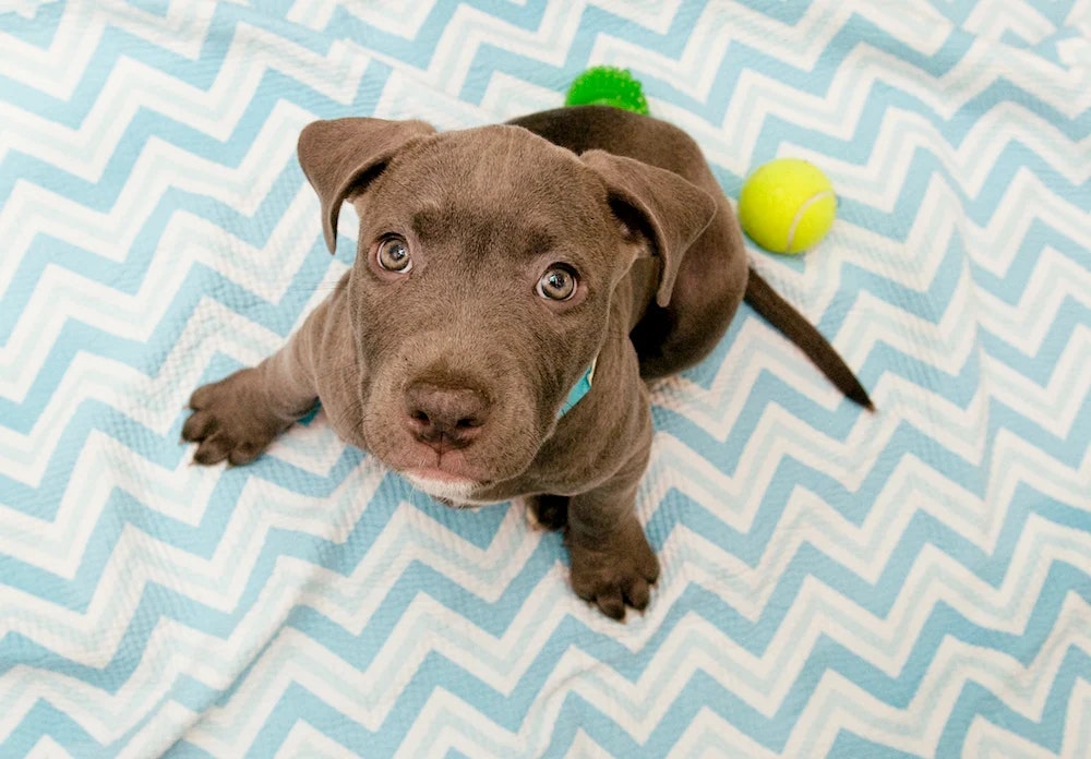 Hannah White - Coda Profile