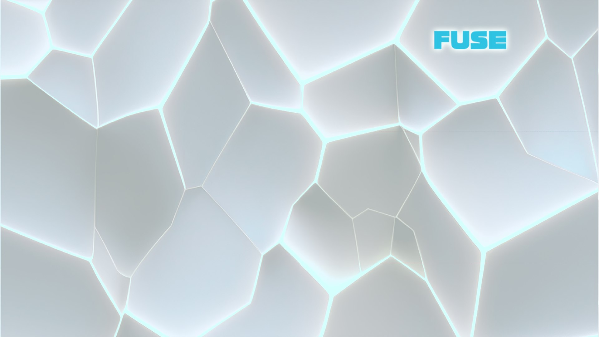 Founding Principles · Fuse Cooperative