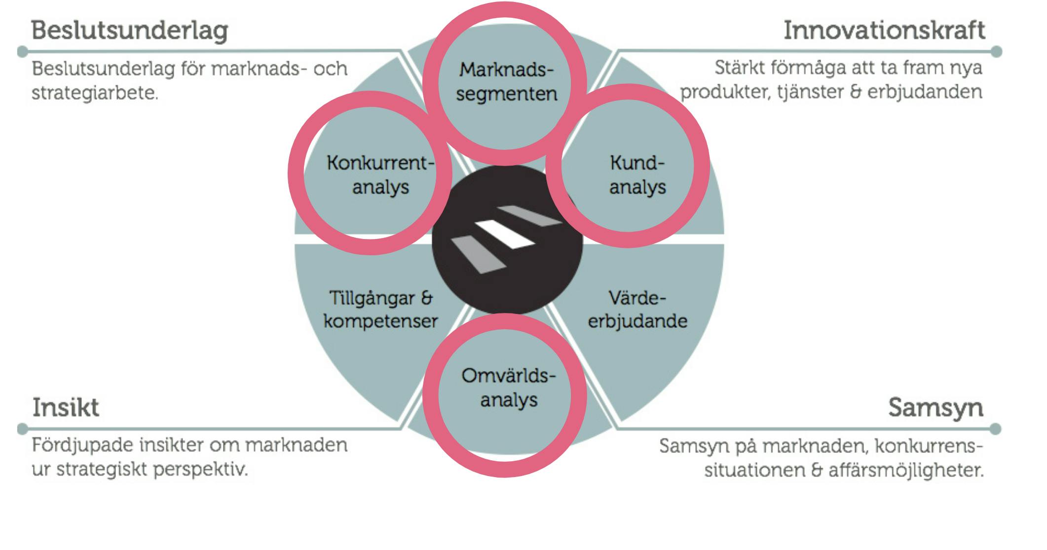 Nulägesanalys · SMH Handbok