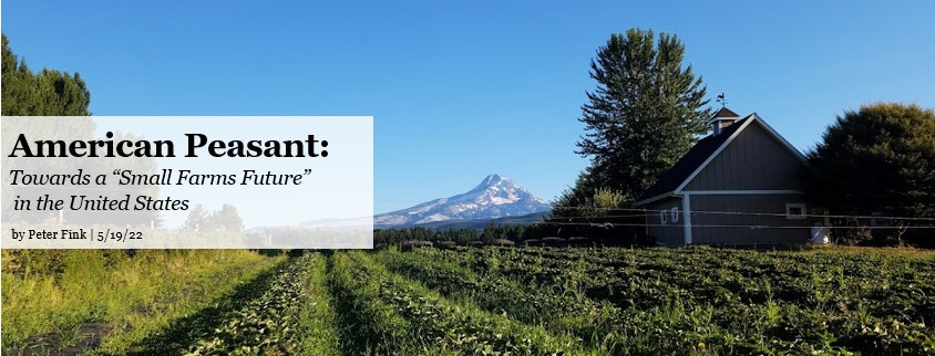 American Peasant: Towards a "Small Farms Future in the United States