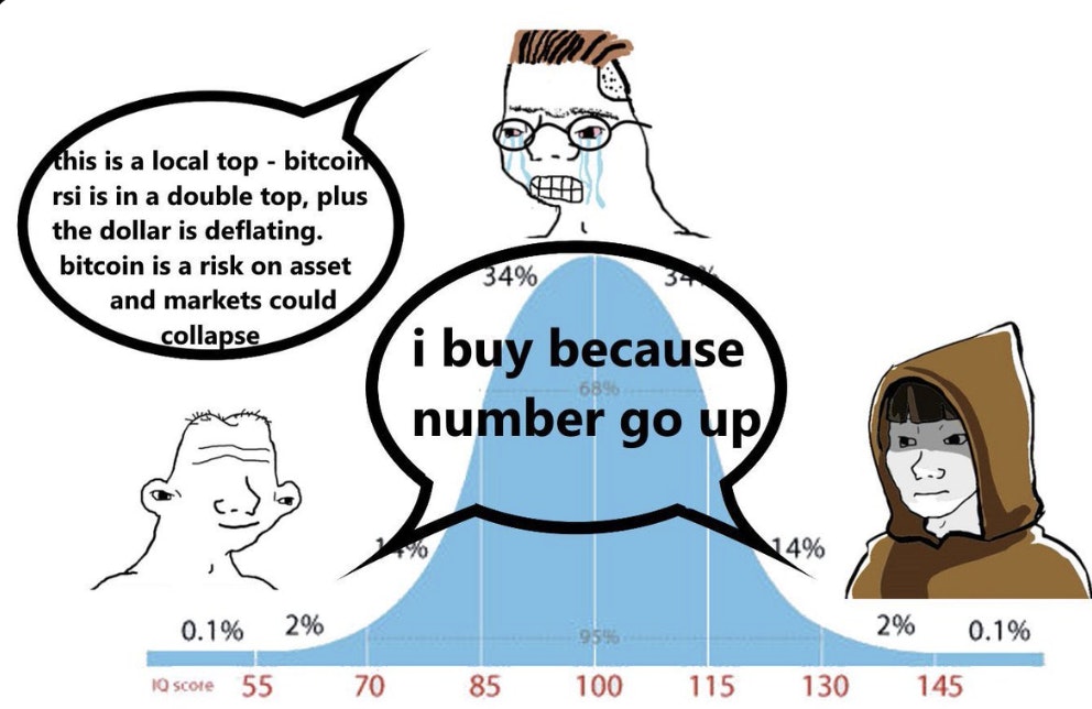 Akiyo Tani - Coda Profile