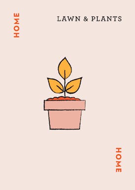 The Cards · Fair Play