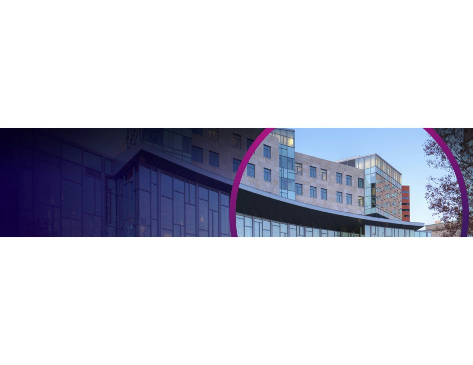 Action Phase 1 · Curriculum