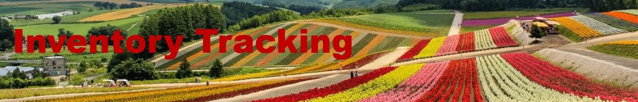 Jin Lee Coda Profile