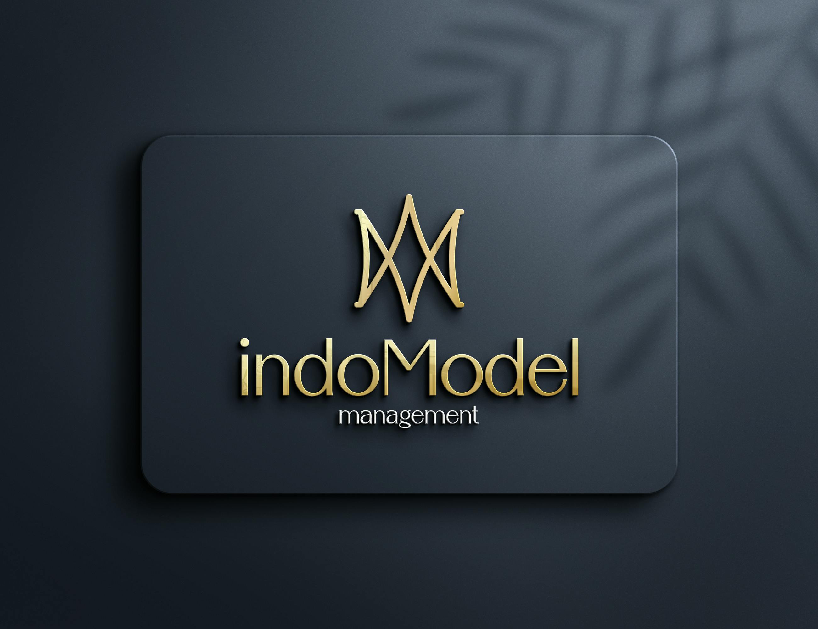 Indomodel Dev Timeline · Indomodel Project