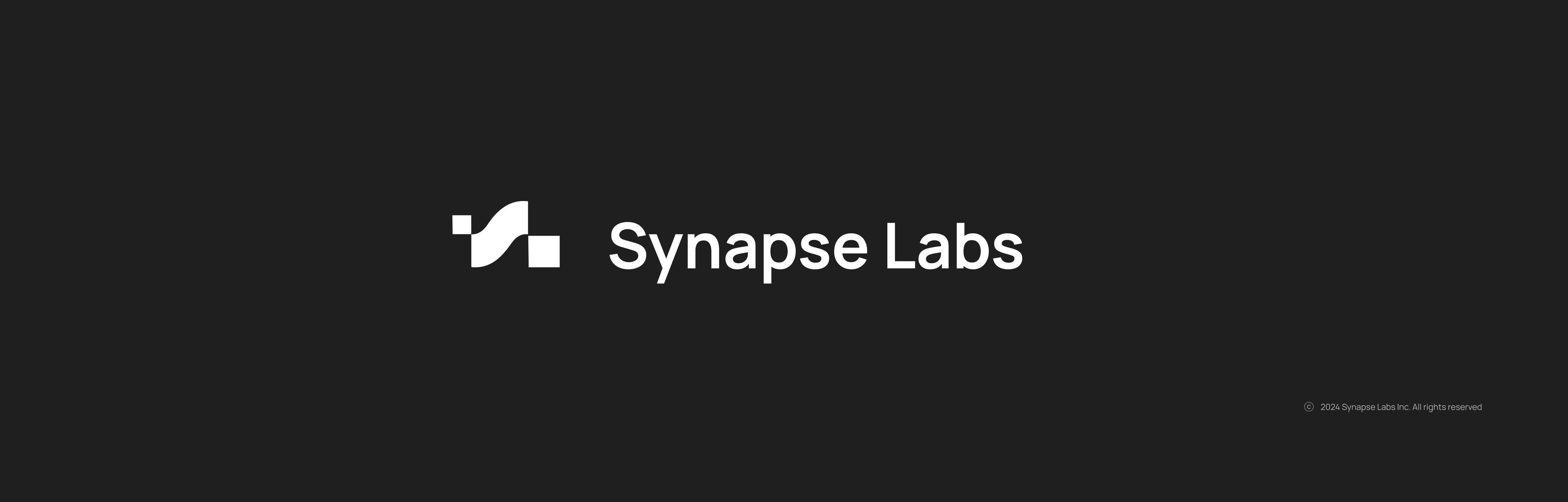 Synapse Labs Internship Program (Summer 2024)