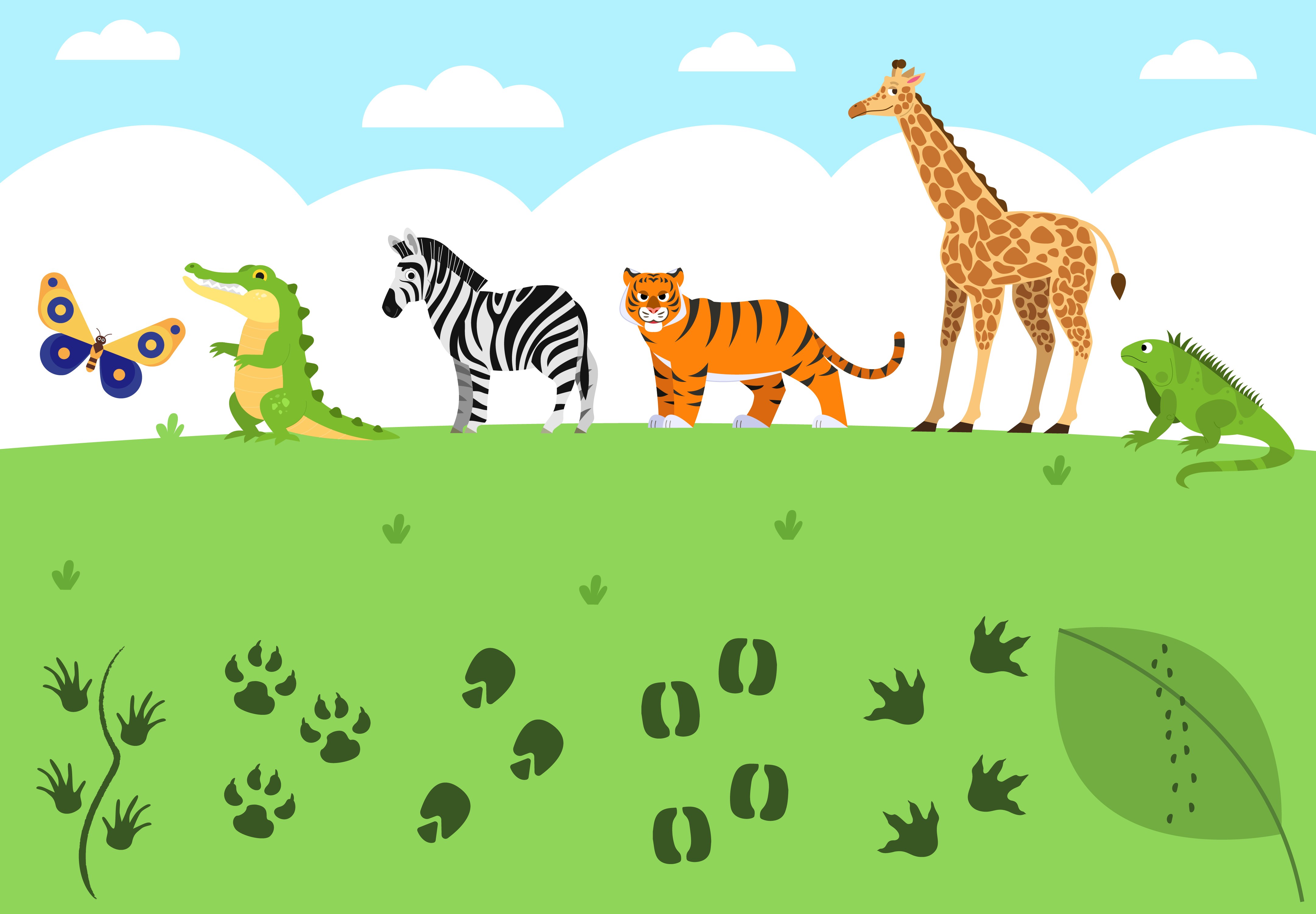 My favourite animals