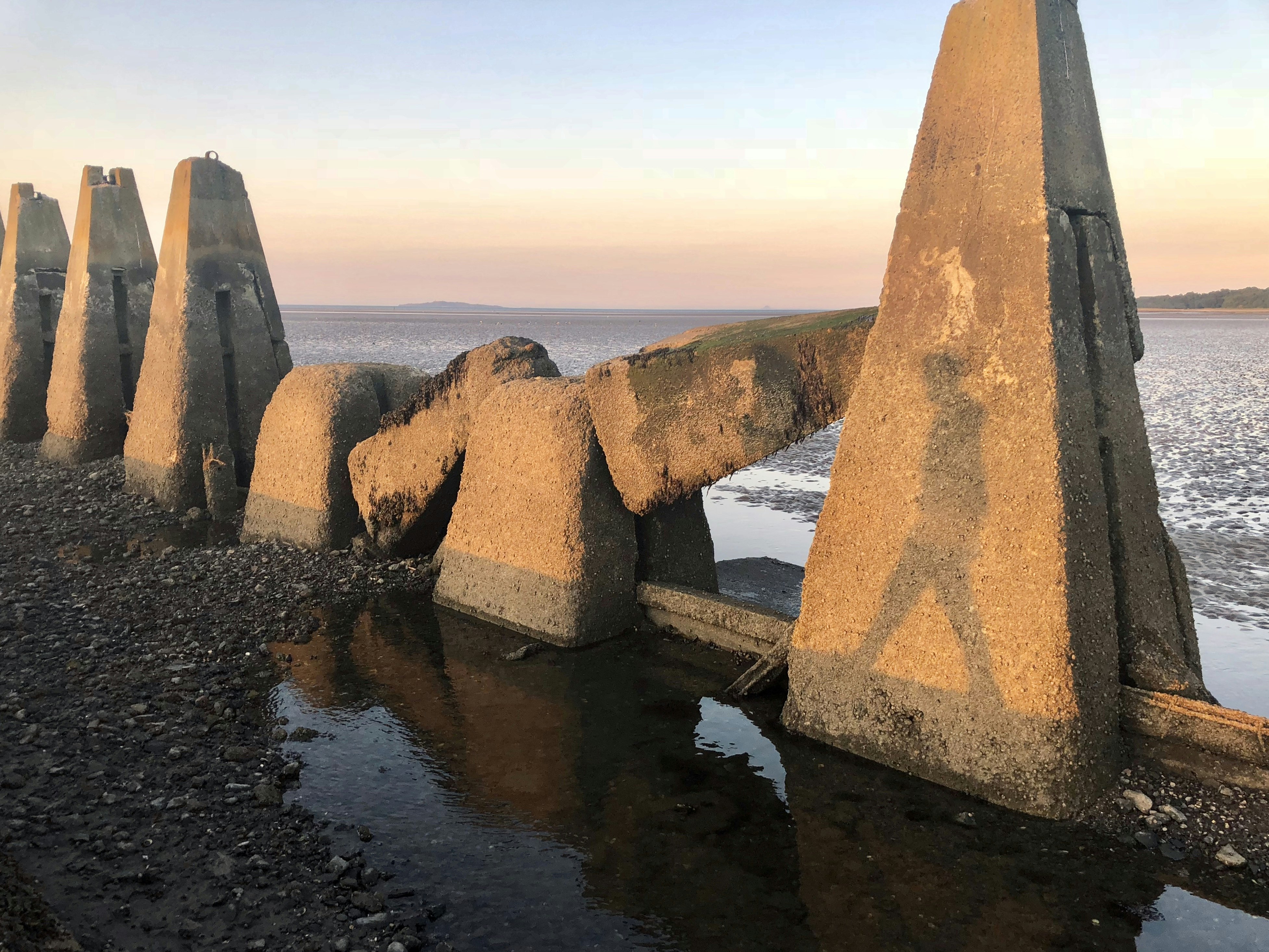 Levi Lian - Coda Profile