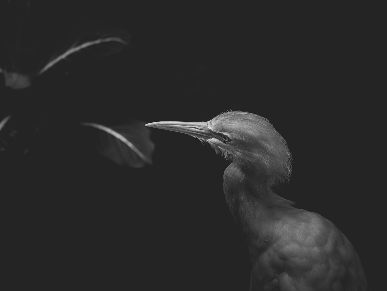 Simple Project + Task Tracker