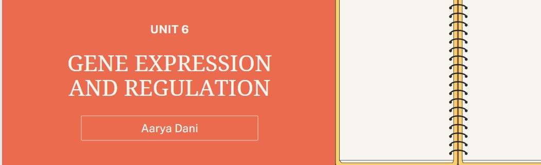 Unit 6: Gene Expression and Regulation · AP Biology Notes