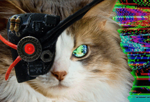 Team Laser Cats · Rethinking the Vaccine Registration Experience