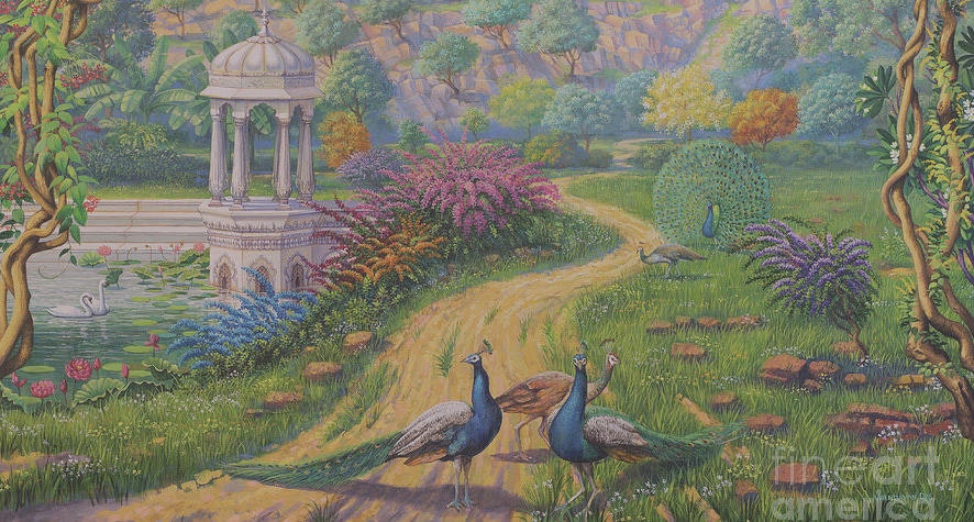 Arjun Seth Edbrand - Coda Profile